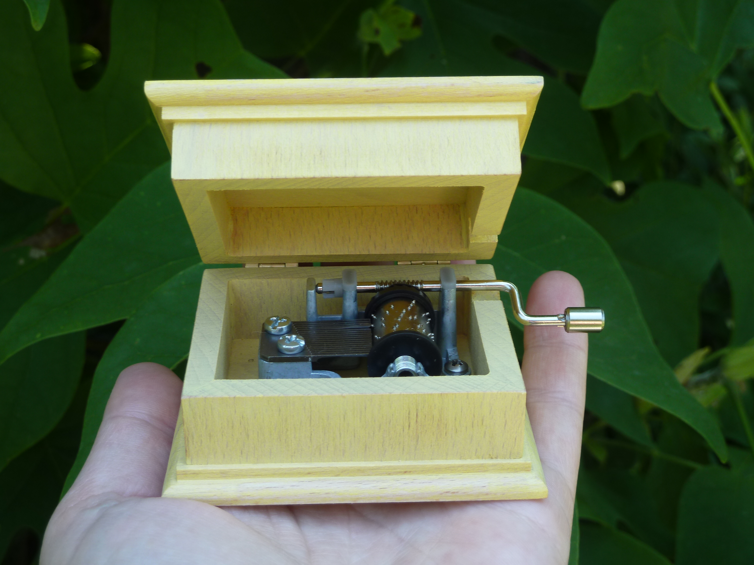 Open Lid Upgrade For A Sealed Shut Music Box on Luulla